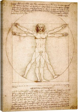 Posterlounge Vitruvianischer Mensch Leinwandbild von Leonardo da Vinci 30 x 40 cm Beige Wandbilder Wanddeko