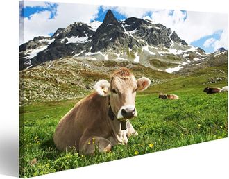 Islandburner Bild auf Leinwand Milck Kuh Mit Beweidung Auf Schweiz Alpine Berge Grünem Gras Weide Über Blauen Himmel Wandbild Poster Kunstdruck Bilder