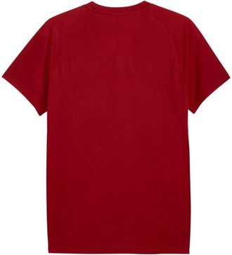 Puma T-Shirt PUMA Galatasaray Istanbul Evostripe T-Shirt Polyester