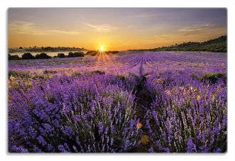 Wallario Fr&uuml;hst&uuml;cksbrettchen aus Glas, Glasunterlage, Glasbrettchen Sonnenuntergang &uuml;ber dem Lavendel, Gr&ouml;&szlig;e 20 x 30 cm, Sicherheitsglas