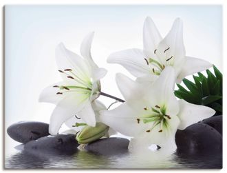 Artland Wanddeko Leinwand Bilder Wandbild 80x60 cm Madonna-Lilien und Spasteine im Wasser in weiß T5LS