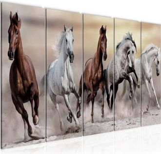Runa Art Bild Pferde Wandbilder auf Vlies Leinwand 5 Teilig Wanddekoration Wohnzimmer Schlafzimmer 014156a