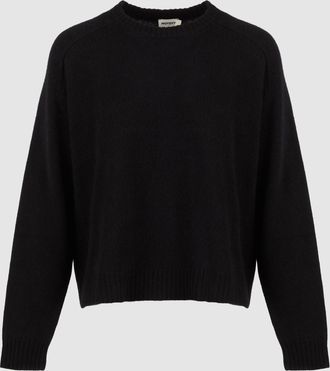 Notshy Pull Perry Noir