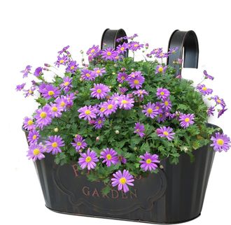 Generico Matter hängende Abdeckung aus Metall - Hängende Pflanzgefäße für Geländer | Balkongeländer im Freien | Feldfenster | Blumenkästen für Garten Dec